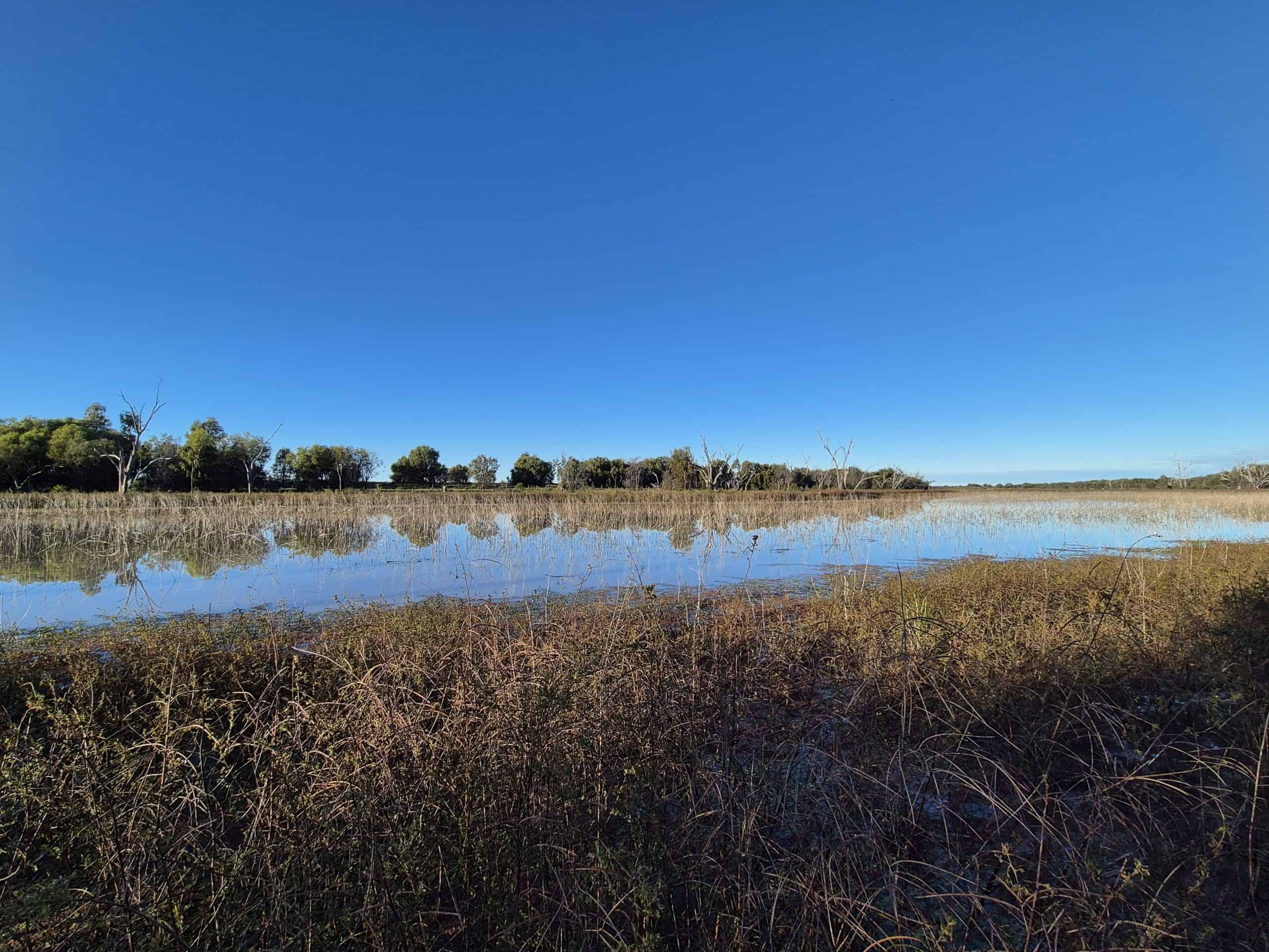 Collaborating to Help Restore Munga Lake - Water Technology